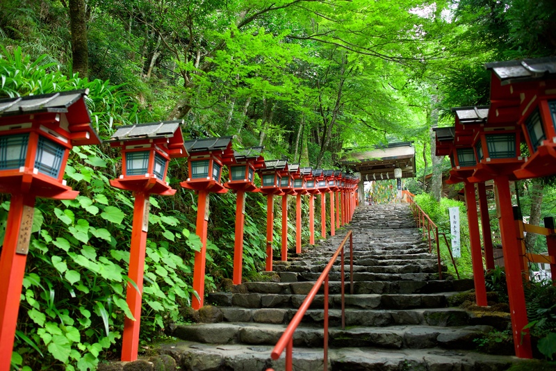 京都4泊5日モデルコース｜寺社と自然と体験を味わうゆったり旅 | JeePe - 日本旅行ガイド